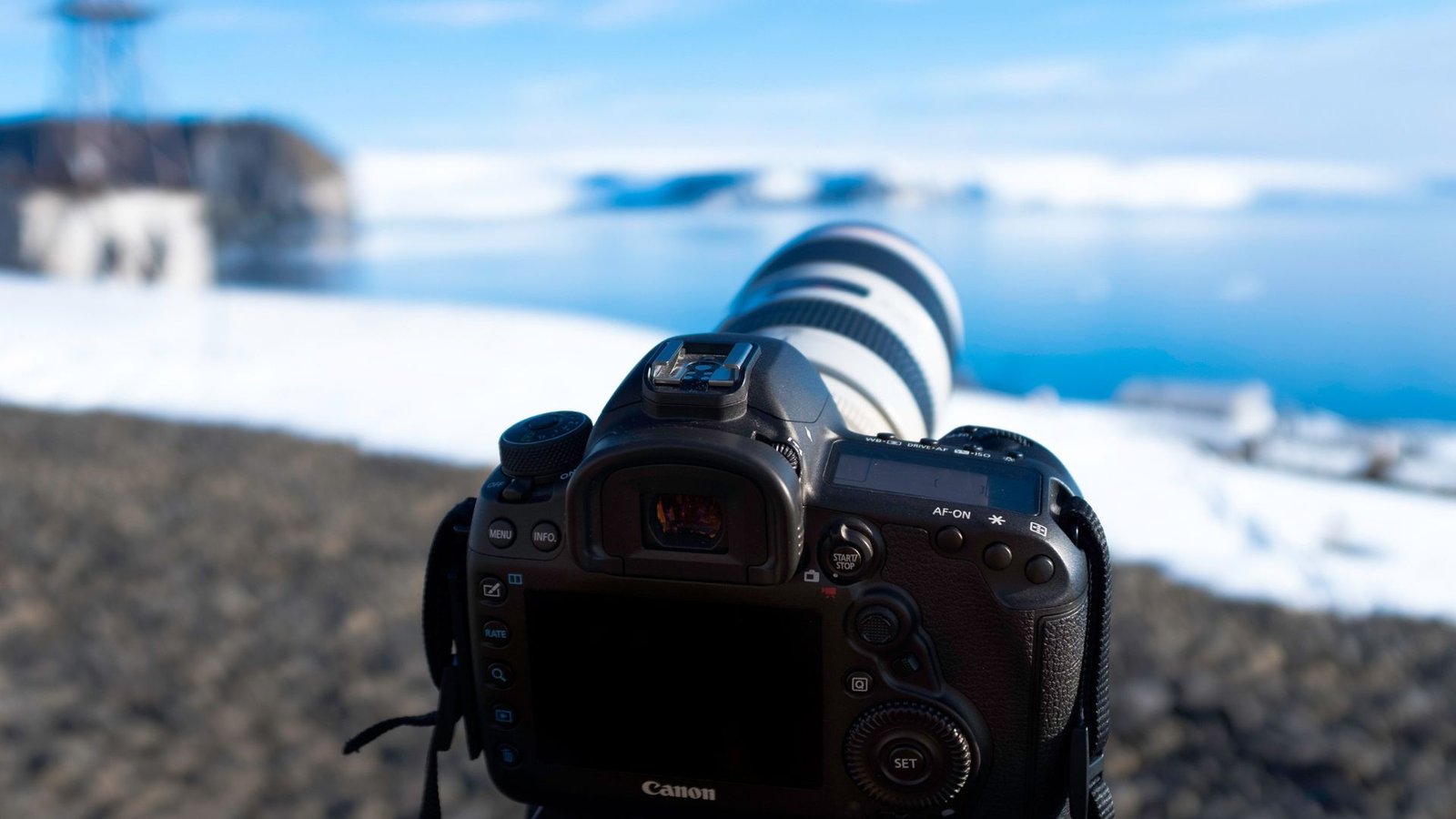 How to Prepare for a Wildlife Photography Expedition
